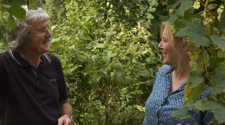 ¿Cómo era la cerveza en el siglo XVI?